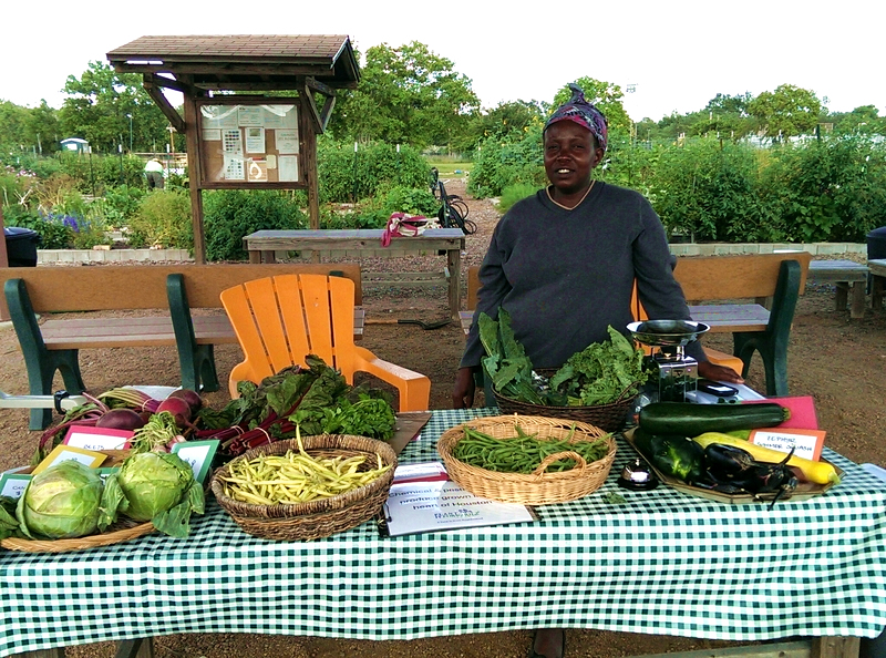 Farm Fresh Produce For Sale Every Weekend – Westbury Community Garden