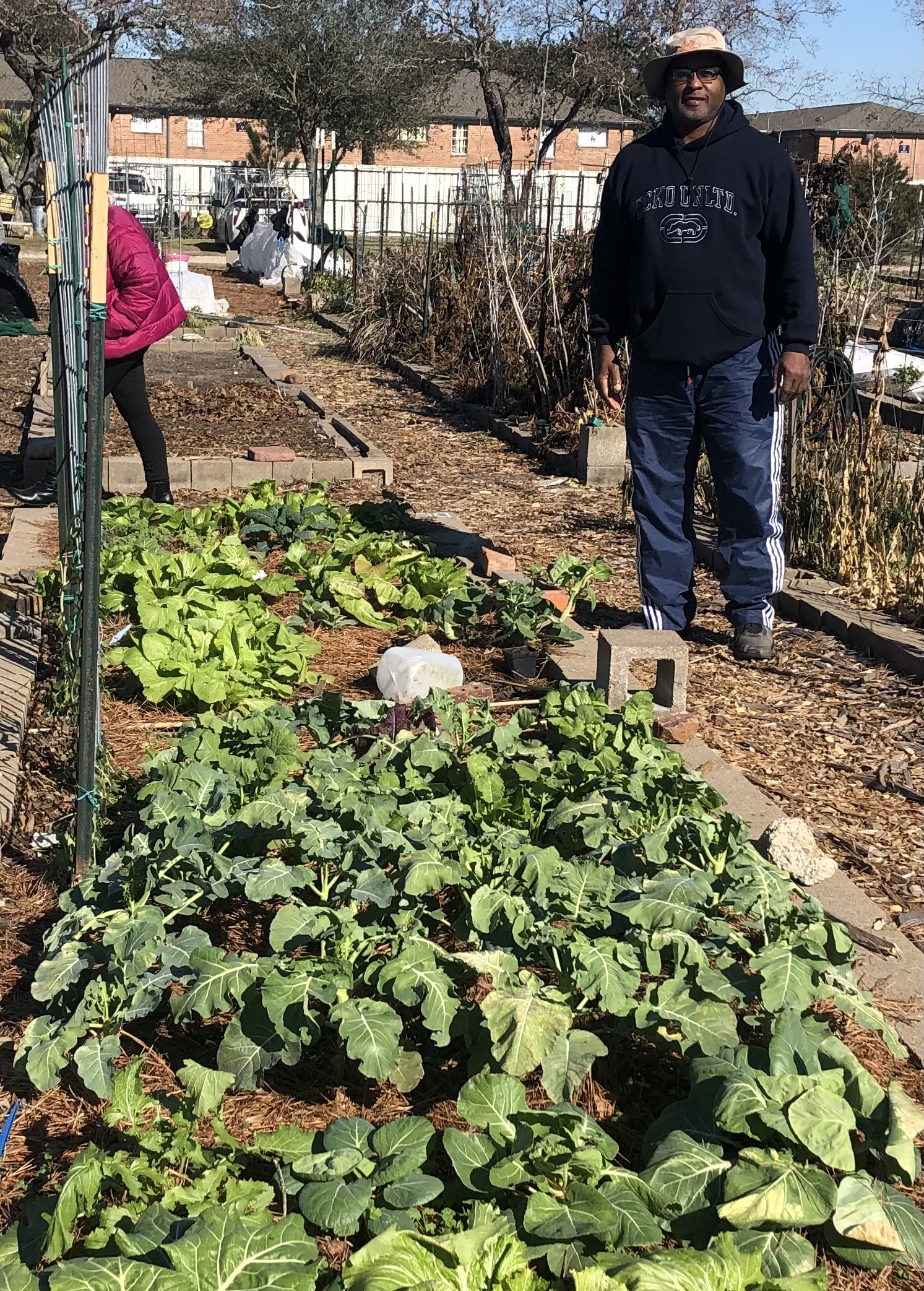 Saving Garden Vegetables From a Hard Freeze – Westbury Community Garden